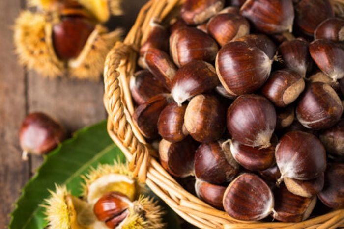 Una domenica in cerca di castagne - Brescia a Tavola