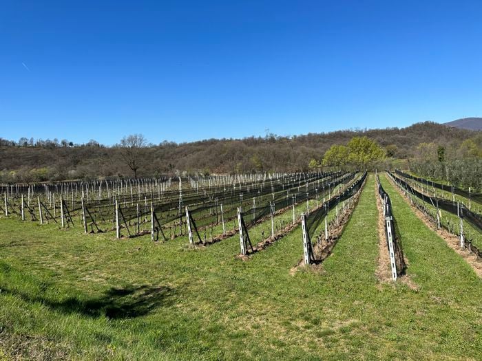 Appunti di degustazione: Il Podere dei Folli - Polpenazze del Garda ...